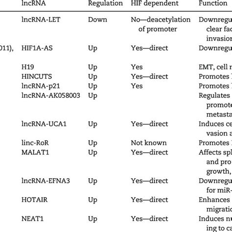 Select Hypoxia Regulated Lncrnas Download Table