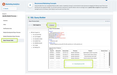 Marketing Analytics Simternship Buyer Persona Query And Tables Stukent Help
