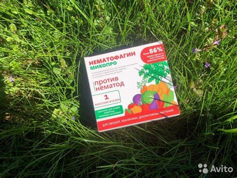 Нематофагин: инструкция по применению и состав препарата, нормы расхода
