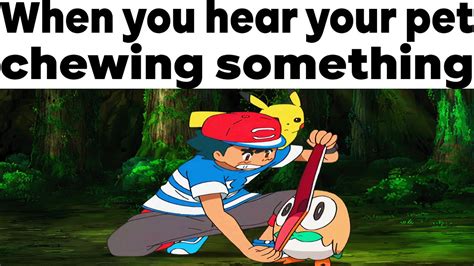 Pokemon Meme
