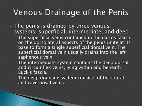 Ppt Surgery Of The Penis And Urethra Powerpoint Presentation Free
