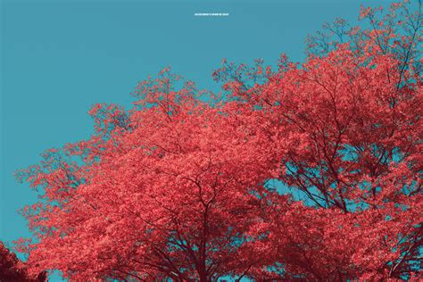 Sihai Park In Shenzhen On Behance