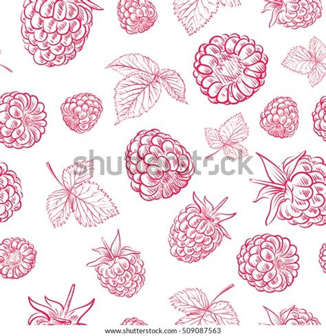 Seamless Pattern Raspberries Vector Illustration Stock Vector Royalty