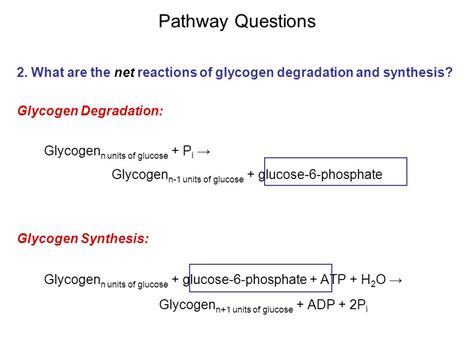 Glycogen Synthesis Reaction
