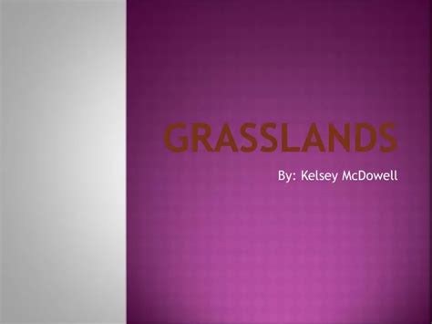 Ppt Grasslands Powerpoint Presentation Free Download Id1976628