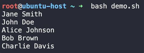 How To Read A File Line By Line In Bash