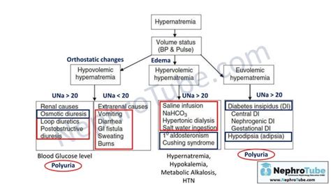 Hypernatremia Practical Approach Dr Gawad Pdf