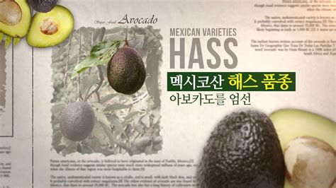 과일의 보석이라 불리우는 아보카도 오일을 알아보자 On Vimeo