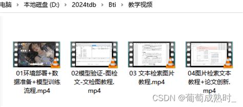 【第十二届 泰迪杯”数据挖掘挑战赛】【2024泰迪杯】b题基于多模态特征融合的图像文本检索—解题全流程（论文更新）第十二届泰迪杯 Csdn博客