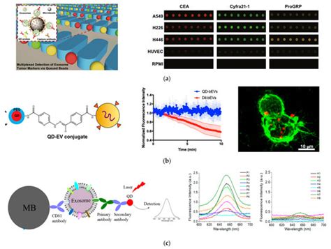 Nanomaterials Free Full Text Nanomaterials For Molecular Detection