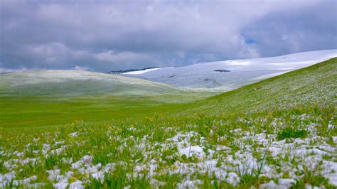 山河万里 六月飞雪喀拉峻草原又双叒叕下雪啦 中国网