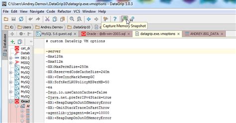 Memory Usage IDEs Support IntelliJ Platform JetBrains