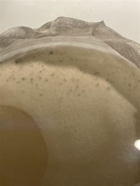 Hey Fam Is This Contam Ragarporn