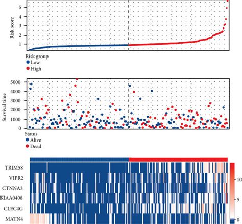 Prognosis Model Construction A B Lasso Regression Algorithm C