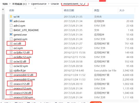 使用cxoracle连接数据库时报错 Cxoracledatabaseerror Dpi 1047 Cannot Locate A