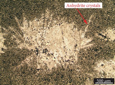 Muschelkalk Dolostones With A C Sla 1295 80 Abundant Eogenetic Download Scientific Diagram