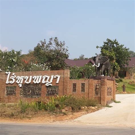 ค่ายลูกเสือ ไร่หุบพญา แคมป์