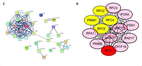 A D Ppi Network And Hub Genes Identification Of The Degs A Ppi