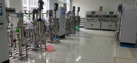 Lab St Bioreactor Projects