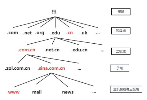 【linux网络】dns域名解析服务dns服务器域名转发含端口号 Csdn博客
