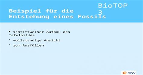 Biotop 3 Beispiel Für Die Entstehung Eines Fossils Schrittweiser Aufbau