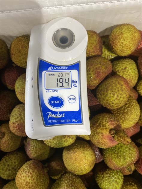 Fresh Fruits Canada Garlic Importing Inc