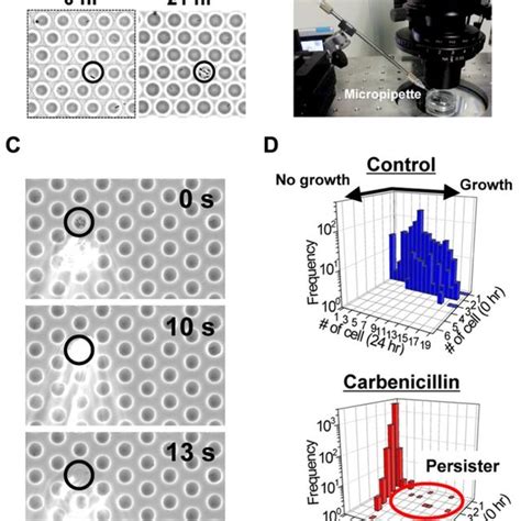 Pdf Design Of A Large Scale Femtoliter Droplet Array For Single Cell