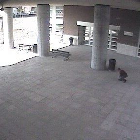 An Example From The Multi Camera Setup Download Scientific Diagram