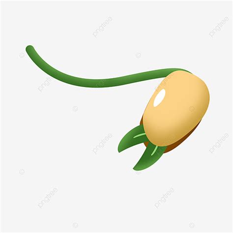 콩나물 갓 일러스트 발아 한 녹색 씨앗 성장 콩나물 초록 신선한 Png 일러스트 및 Psd 이미지 무료 다운로드 Pngtree