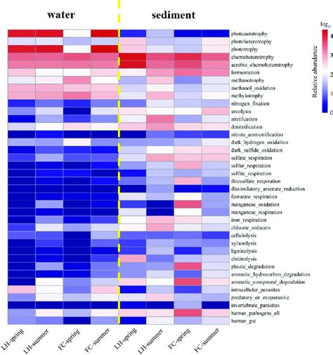 Heatmap Analysis Of Predicted Functions Based On Detected Bacterial Download Scientific Diagram