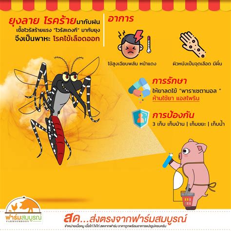 ⛈️⛈️ช่วงนี้ ฤดูฝน วันนี้ฟาร์มสมบูรณ์ มีข้อมูลของมาบอกต่อจ๊ะ เกี่ยวกับ