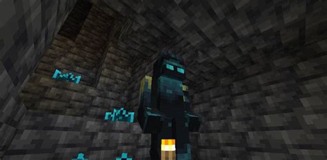 Deeper In The Caves Warden Mod RELEASE