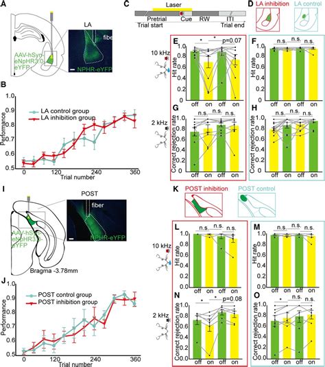 State Dependent Memory Retrieval Insights From Neural Dynamics And Behavioral Perspectives