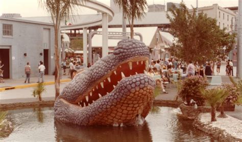 The Celebration Gator Popula