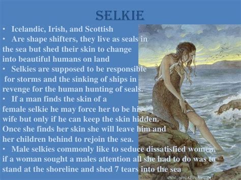 Selkie• Icelandic Irish And Scottish• Are Shape Shifters They Live