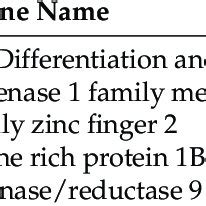 List Of Genes Involved In Epithelial Cell Differentiation And