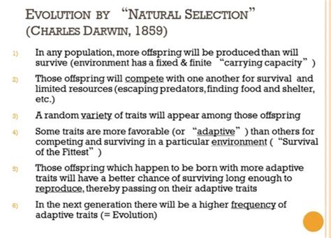 Human Evolution Genetics Flashcards Quizlet