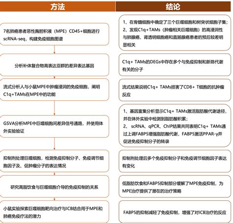 文献解析｜巨噬细胞遇上代谢重编程 知乎