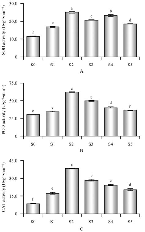 Effects Of Exogenous No On Sod Pod And Cat Activities Of Eggplant