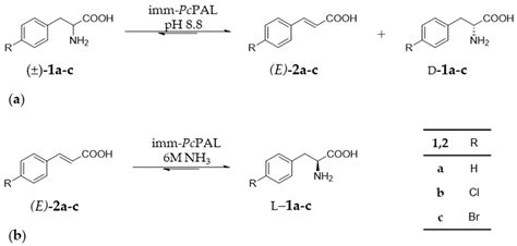 Catalysts Free Full Text Upgrading Epoxy Supports For Enzyme