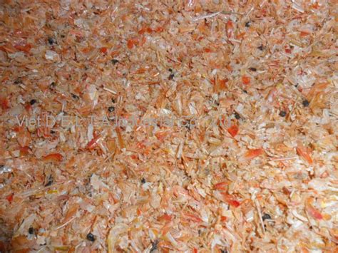 Shrimp Shell Head Shrimp Shell Powder Vietnam Viet Delta Price