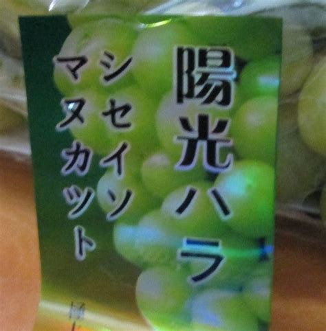 今年もこの季節がやってきたよ にゃお・のシアトル生活20年とちょっと