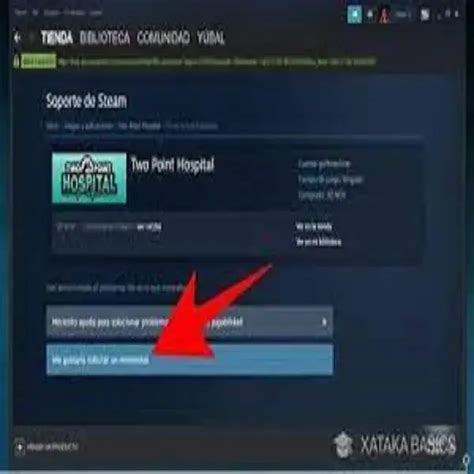Cómo hacer un reembolso en Steam ari