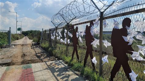 Dmz 평화의길 고양 Youtube