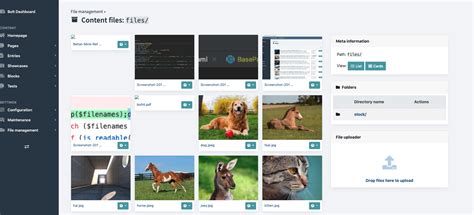 Bolt Filemanager Shows Broken Image Link On Non Image Files · Issue