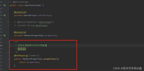 【springcloud】springcloud Nacos详解配置管理springcloud Nacos配置 Csdn博客