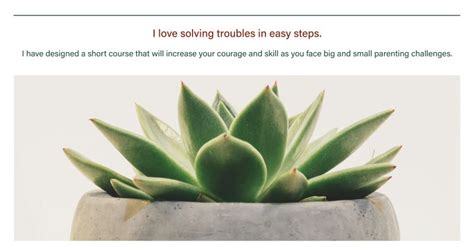 I Love Solving Troubles In Easy Steps No Matter How Overwhelming The