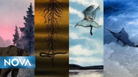 Evolution Lab Interactive Lesson Mission 1 Pbs Learningmedia