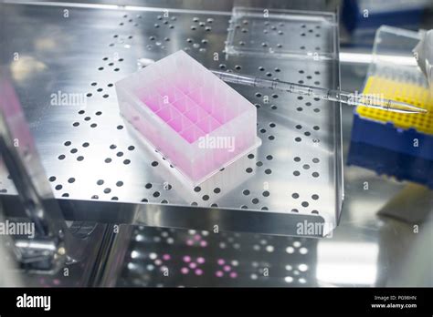Cell Based Testing Kit In A Laboratory That Engineers Human Tissues For