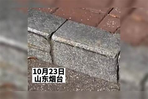 校园版猫和老鼠上演，大学生围观：猫咪紧张被吓跑了大学生猫咪校园